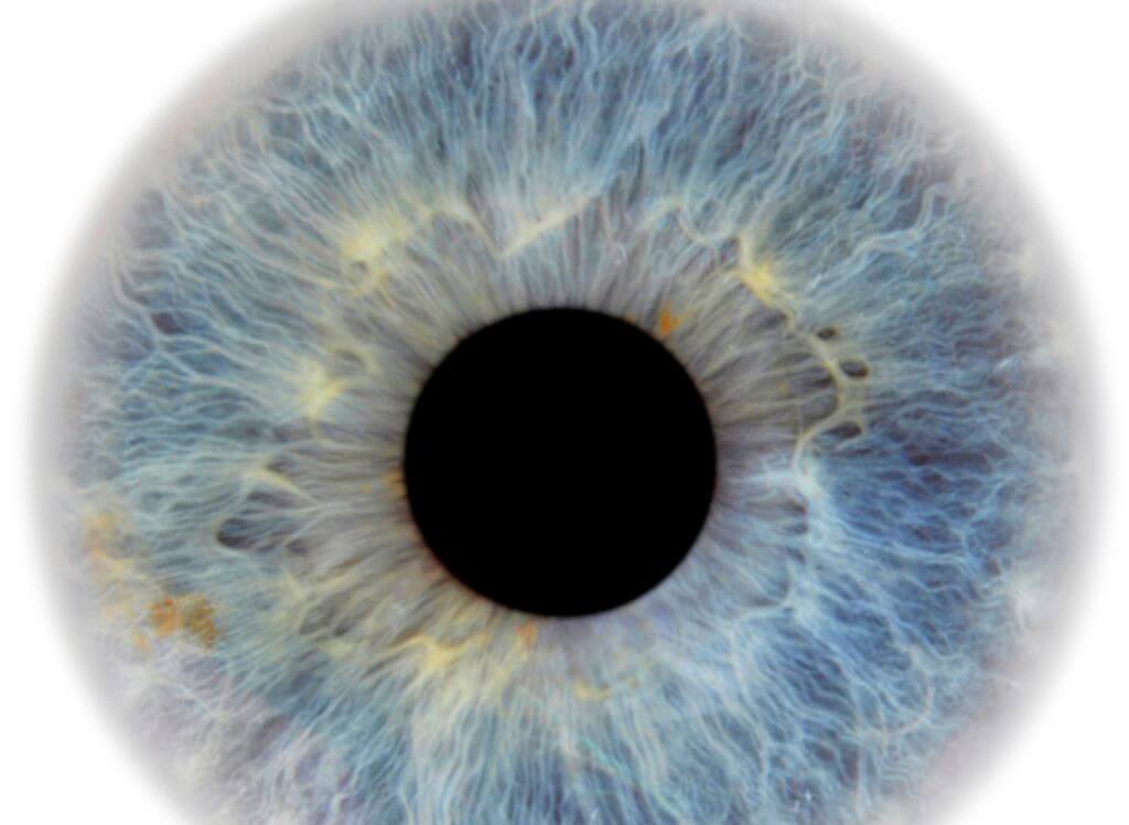 Eye Floaters: How to Maintain Good Vision Health