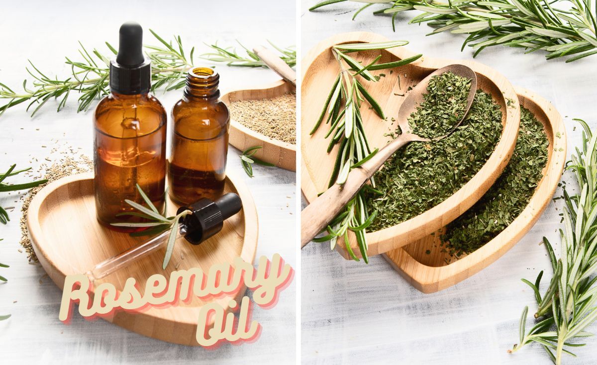 Discover the Best Rosemary Oils to Create an Uplifting and Healing Home ...