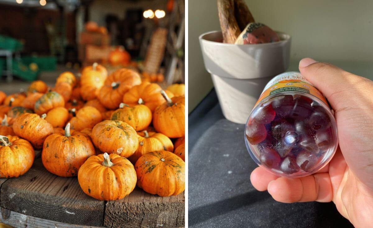 Unlock the Power of Pumpkin Seeds: A Comprehensive Guide to Pumpkin ...