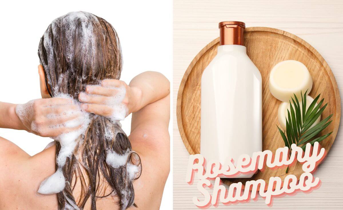 Uncovering the Best Rosemary Shampoos: Choosing the Top Option for Your ...